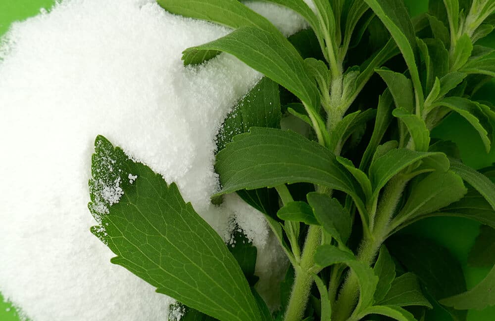 Stevia, Pemanis Alami untuk Mengurangi Asupan Gula | FibreFirst ...